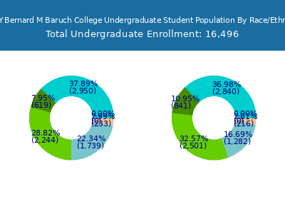Baruch College - Student Population and Demographics