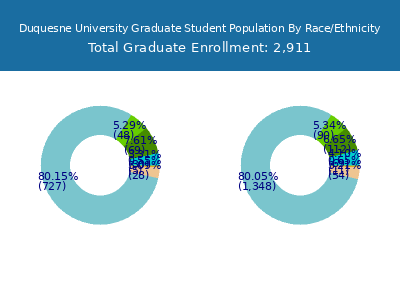 Duquesne University - Student Population and Demographics