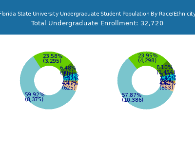 Florida State University - Student Population and Demographics