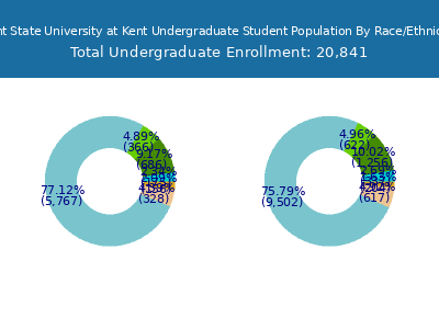 Kent State University at Kent - Student Population and Demographics