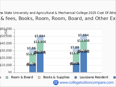 LSU - Tuition & Fees, Net Price
