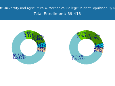 LSU - Student Population and Demographics