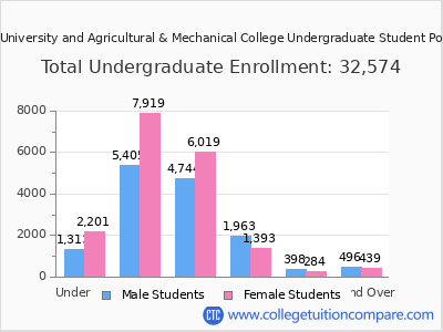 LSU - Student Population and Demographics