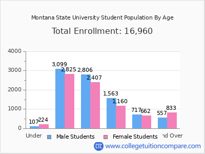 Montana State University - Student Population and Demographics