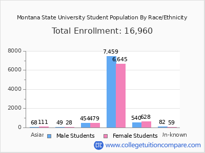 Montana State University - Student Population and Demographics