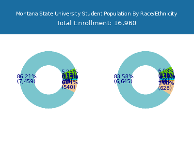 Montana State University - Student Population and Demographics
