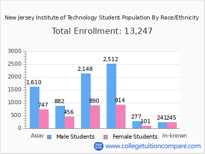 NJIT - Student Population and Demographics