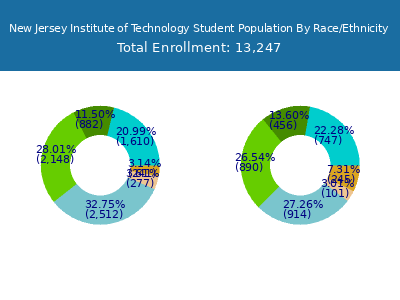 NJIT - Student Population and Demographics