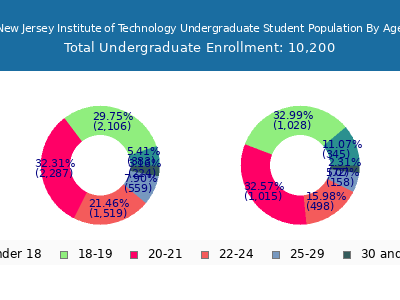 NJIT - Student Population and Demographics