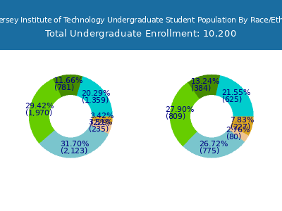 NJIT - Student Population and Demographics