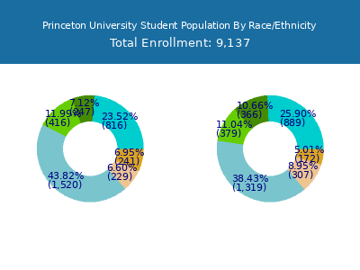 Princeton University - Student Population and Demographics
