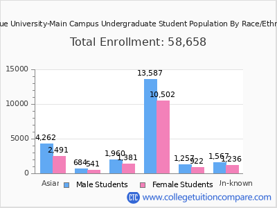 Purdue - Student Population and Demographics