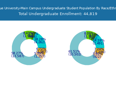 Purdue - Student Population and Demographics
