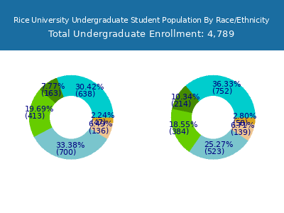 Rice University - Student Population and Demographics