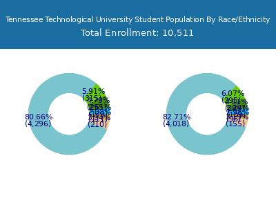 TTU - Student Population and Demographics