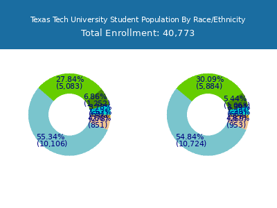 Texas Tech University - Student Population and Demographics