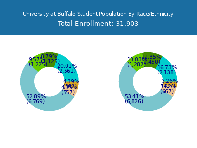 University at Buffalo - Student Population and Demographics