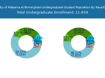UAB - Student Population and Demographics