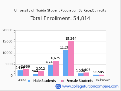 University of Florida - Student Population and Demographics