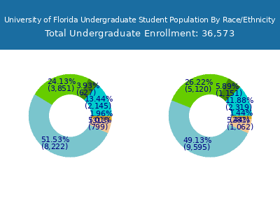 University of Florida - Student Population and Demographics