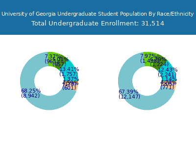 University of Georgia - Student Population and Demographics
