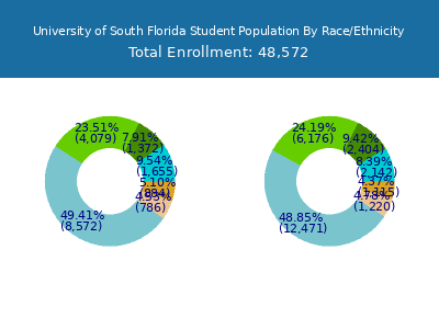 USF - Student Population and Demographics