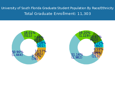 USF - Student Population and Demographics