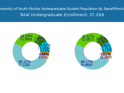 USF - Student Population and Demographics