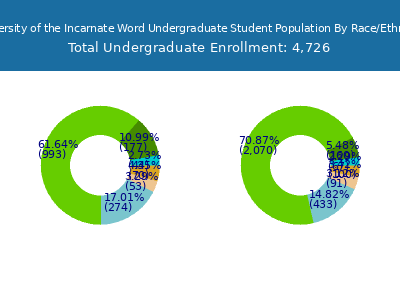 UIW - Student Population and Demographics