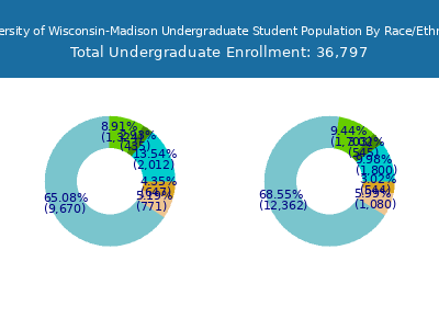 UW - Madison - Student Population and Demographics