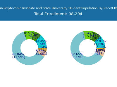 Virginia Tech - Student Population and Demographics