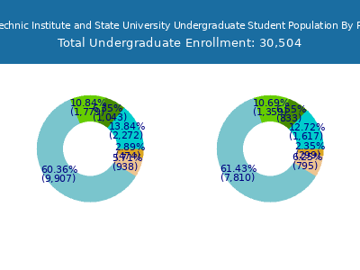 Virginia Tech - Student Population and Demographics